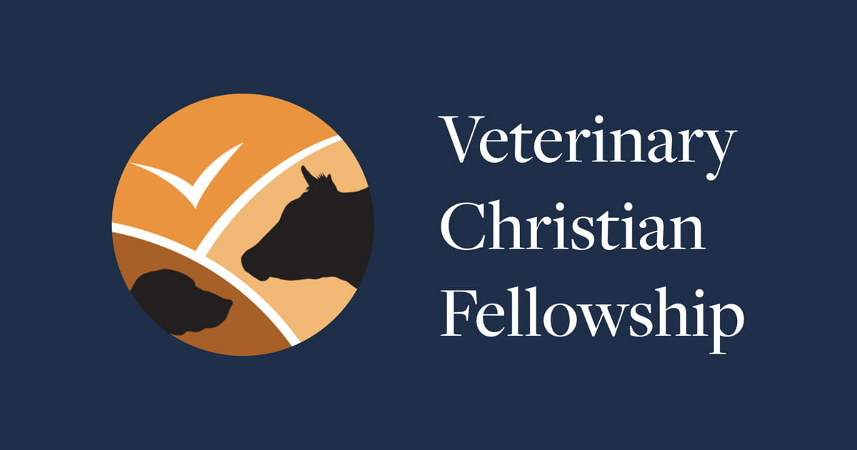 Vcf Logo Correction Officers Eligible For 9/11 VCF Pitta & Baione